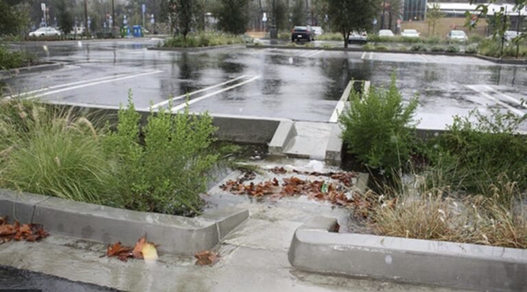 Designing Effective Stormwater Management Systems