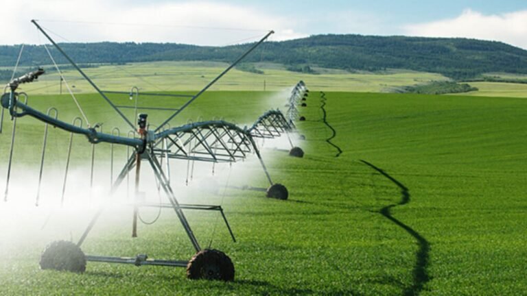 How Irrigation Design Supports Climate Resilience