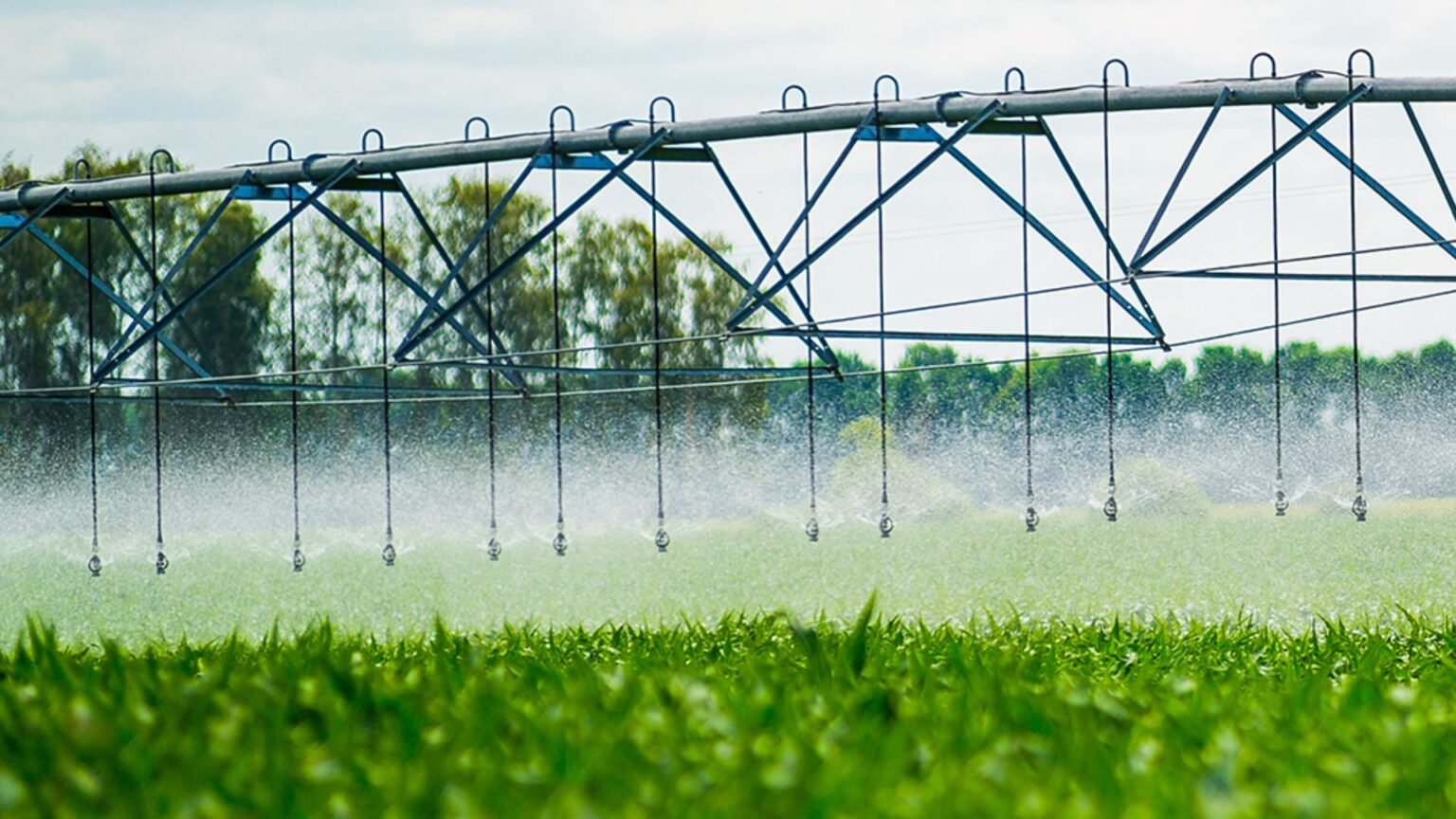 Importance Of Irrigation Design In Agriculture