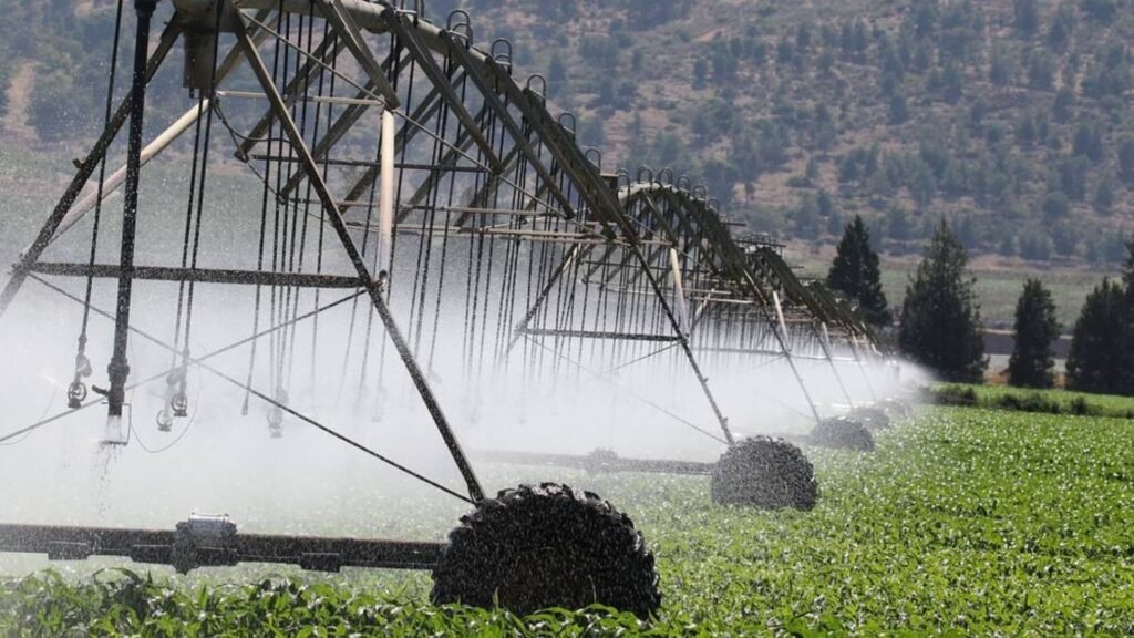 The Environmental Impact of Irrigation Practices